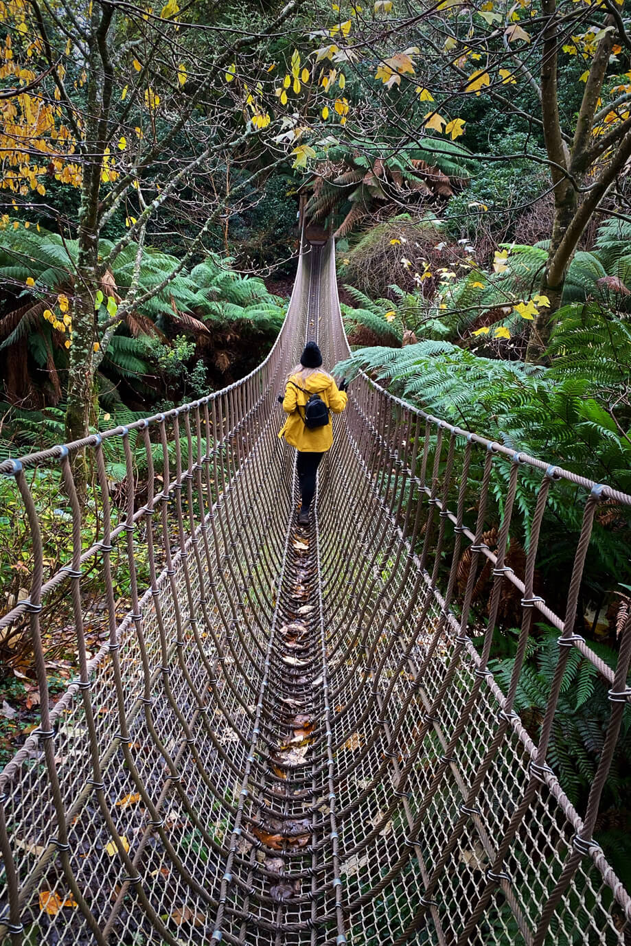 The Lost Gardens of Heligan: Cornwall's Hidden Gem