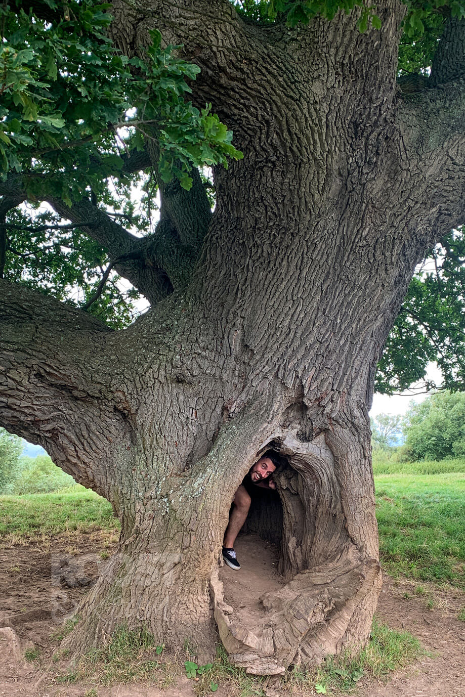 Odda's Lodge, Gloucestershire: A Modern-Rustic Retreat For Two