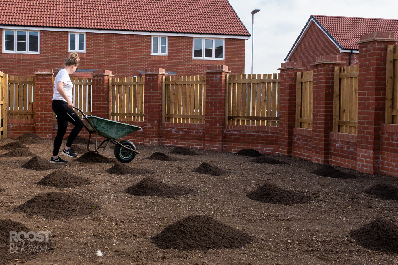 How To Grow Your Own Lawn: We Saved £700!