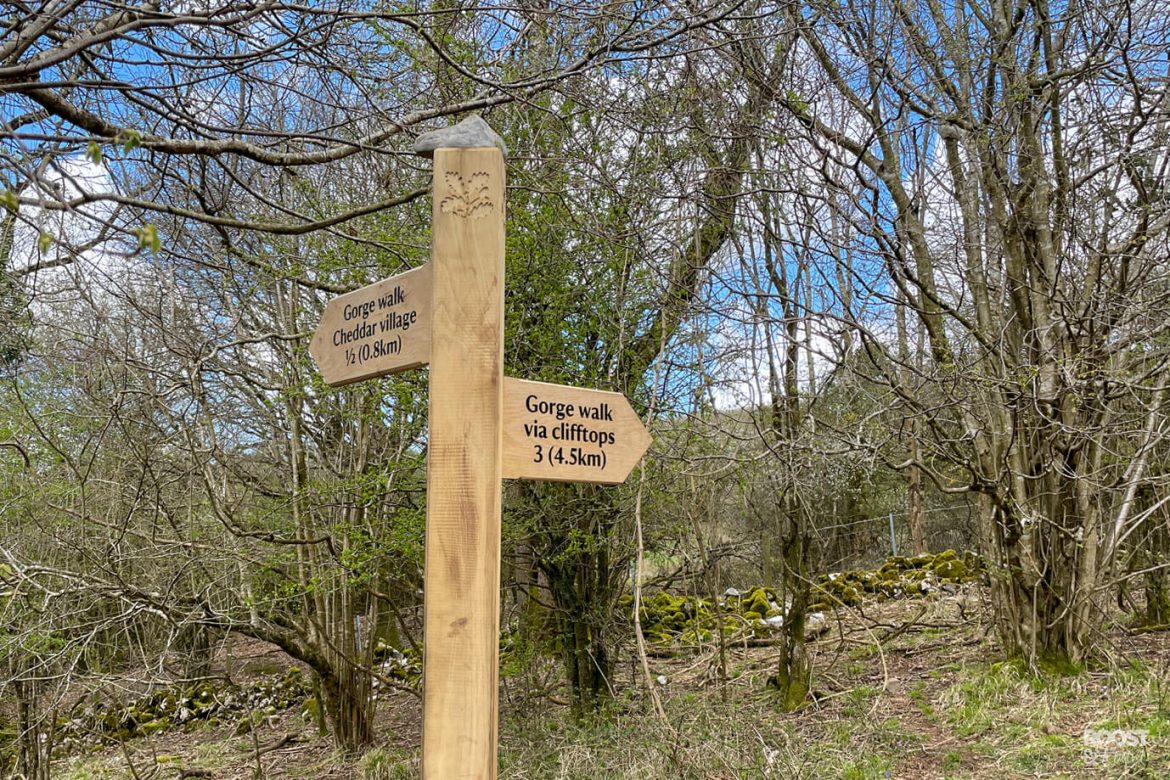 Cheddar Gorge, Somerset: How to Do the Clifftop Walk For Free!