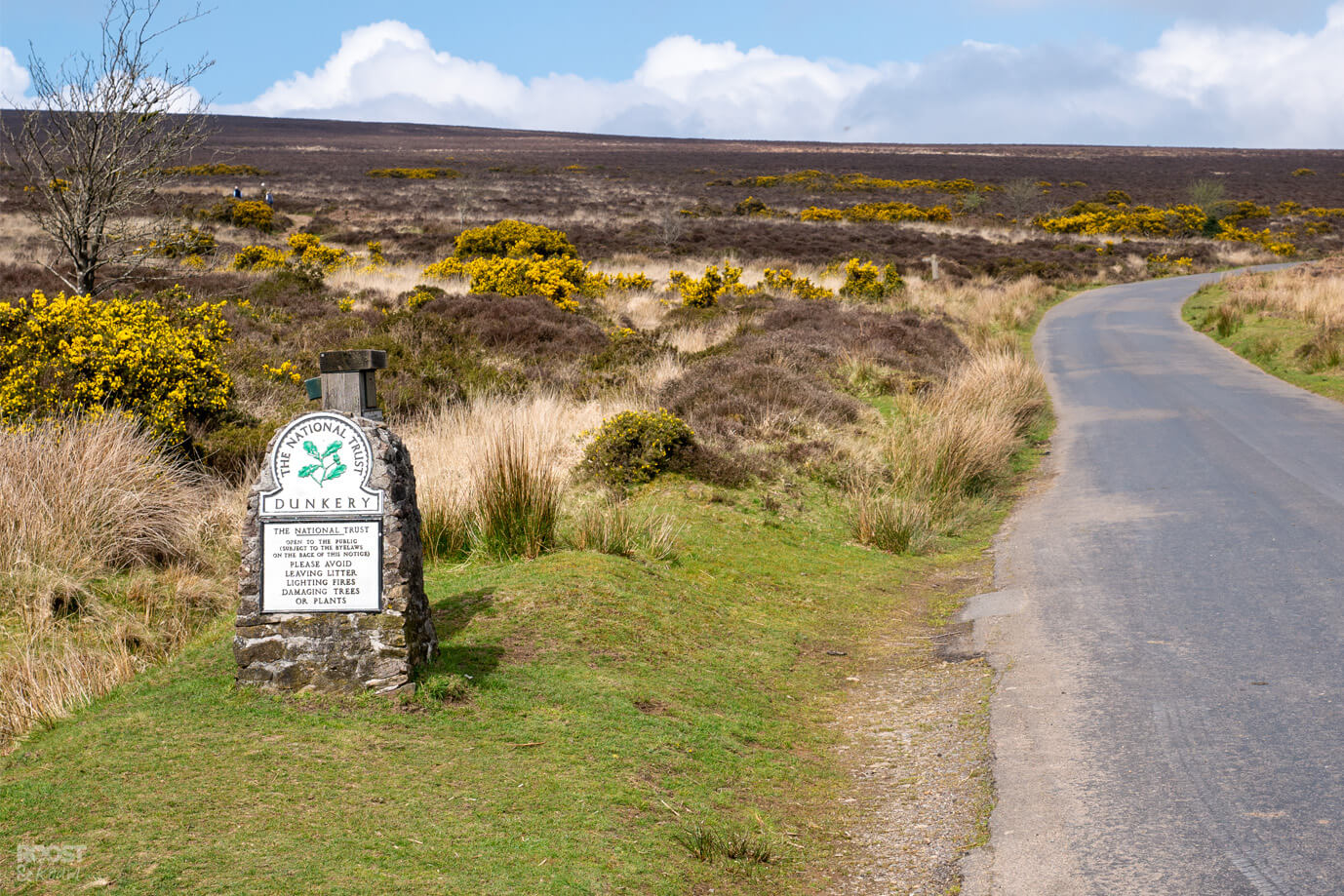 Dunkery Beacon Walk: The Highest Point in Somerset