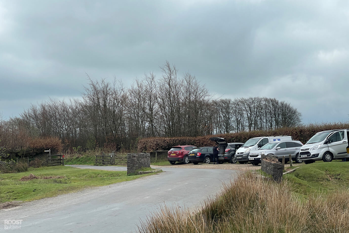 Dunkery Beacon Walk: The Highest Point in Somerset