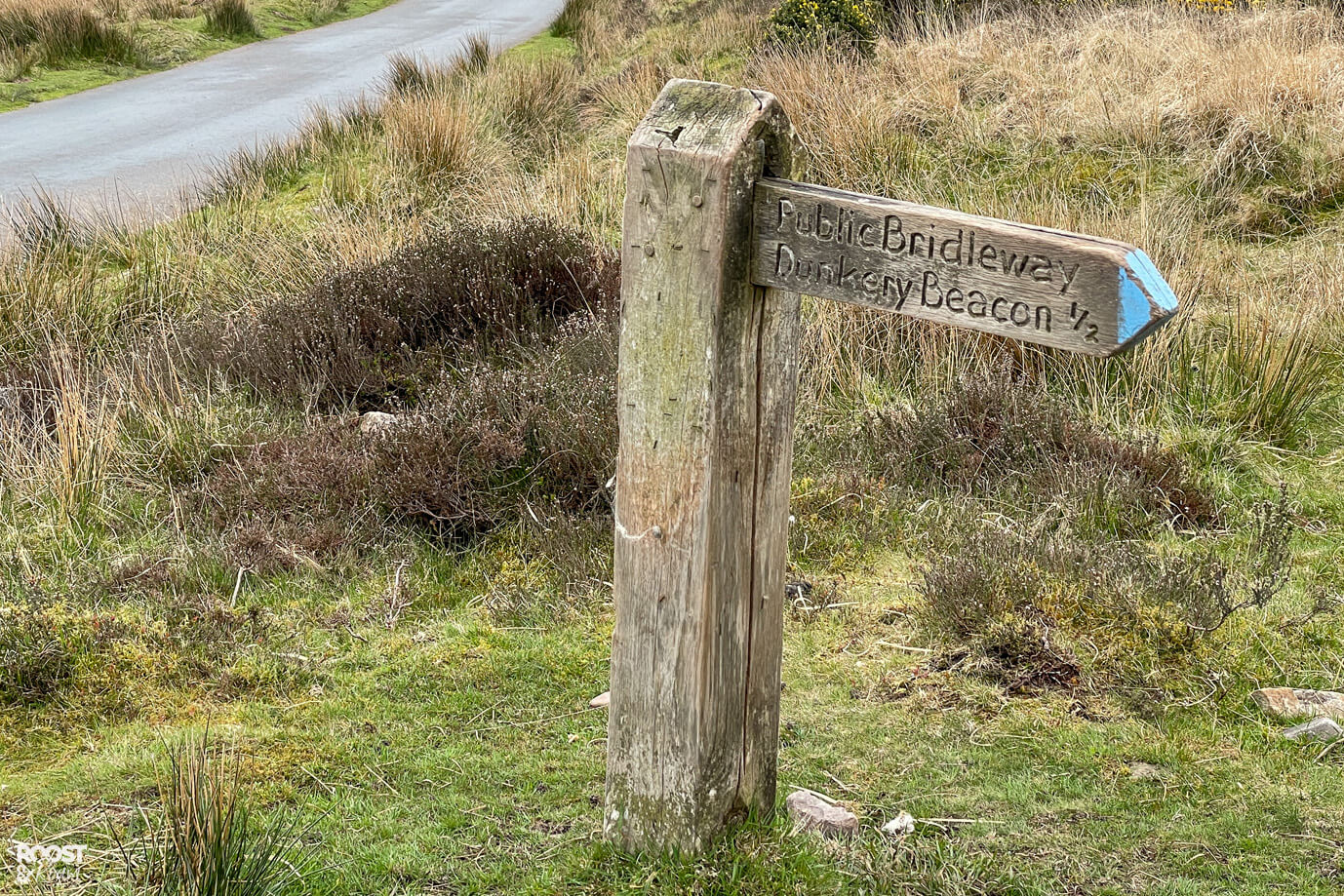 Dunkery Beacon Walk: The Highest Point in Somerset