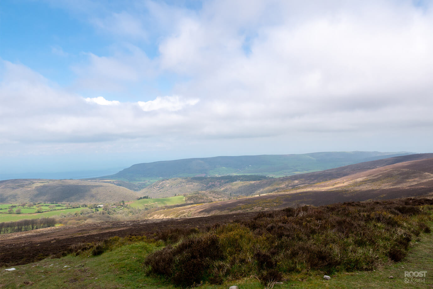 Dunkery Beacon Walk: The Highest Point in Somerset