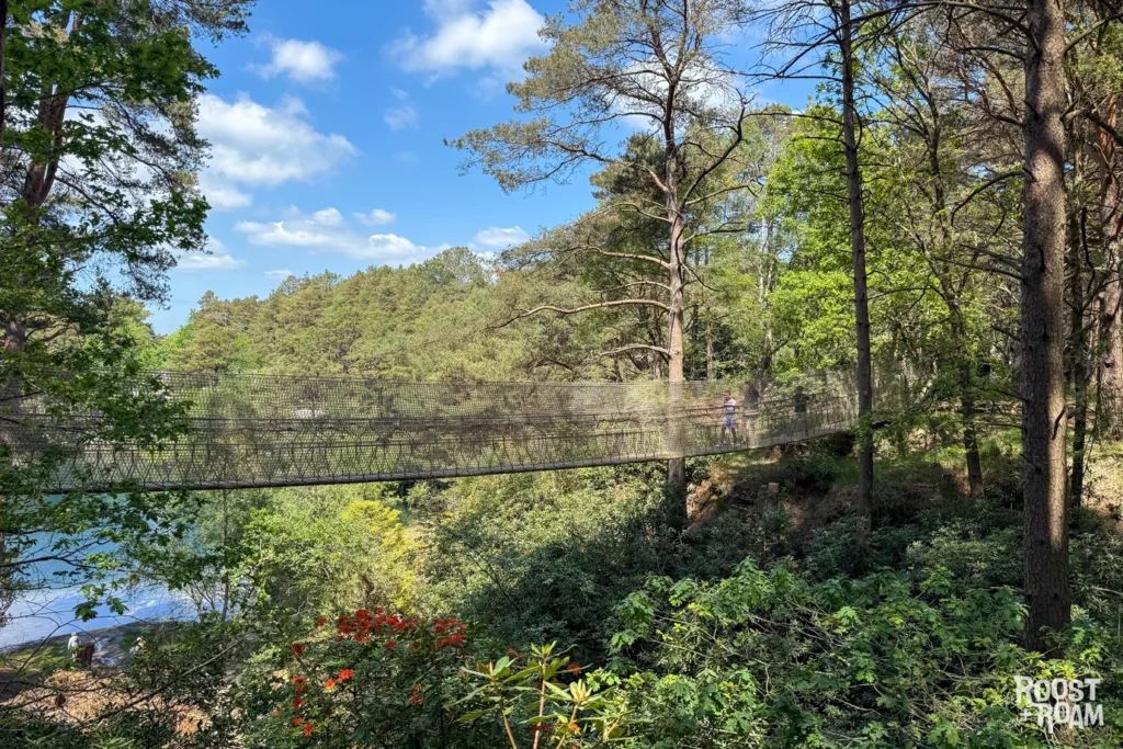 The Blue Pool Nature Reserve, Wareham: Dorset's Hidden Gem