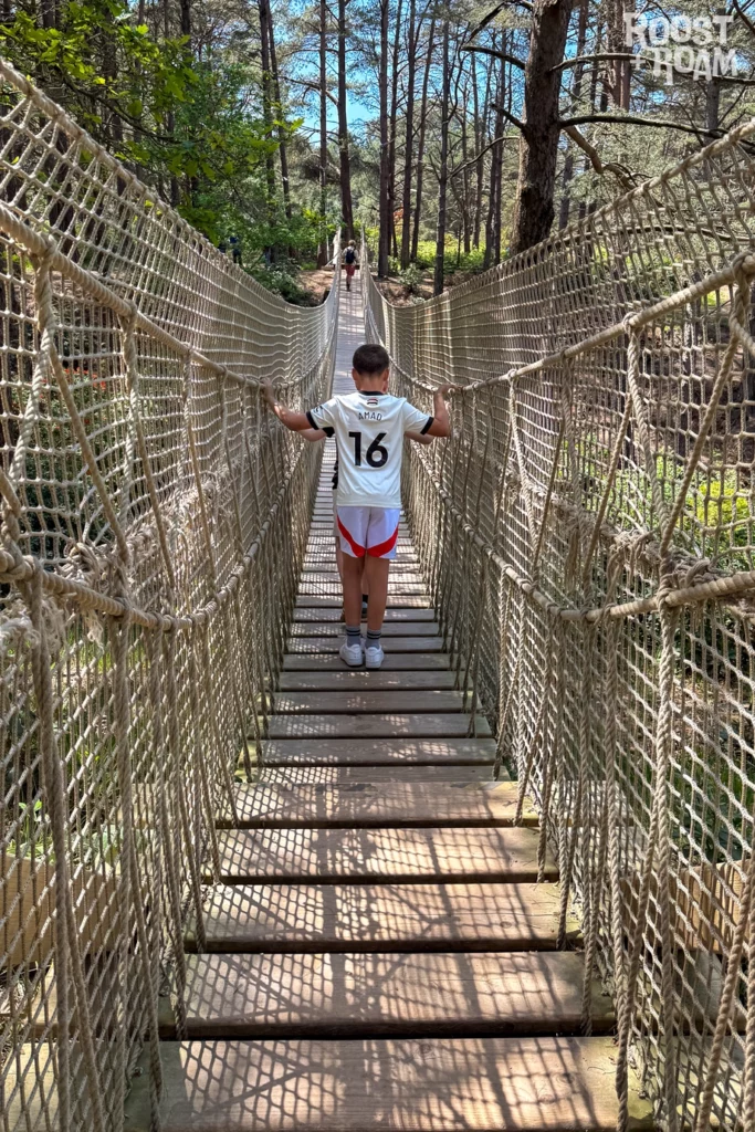 The Blue Pool Nature Reserve, Wareham: Dorset's Hidden Gem