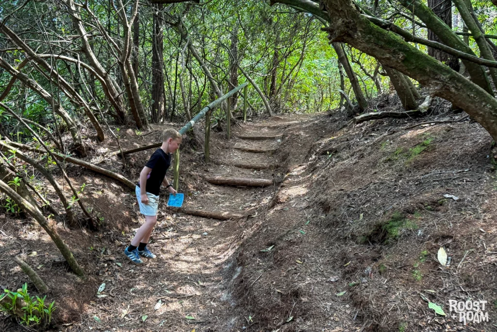 The Blue Pool Nature Reserve, Wareham: Dorset's Hidden Gem