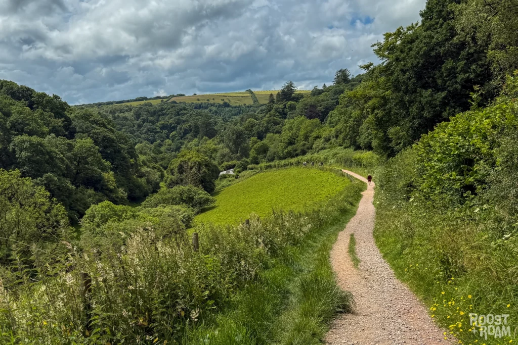 Tarr Steps Exmoor: The Oldest Clapper Bridge in The UK
