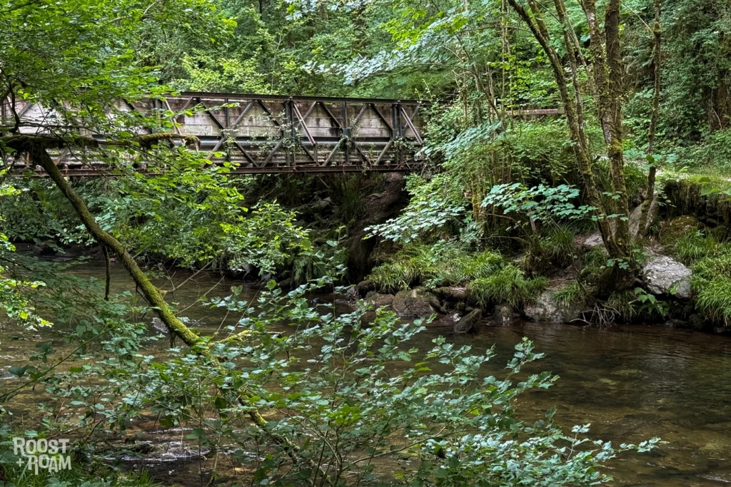 Tarr Steps Exmoor: The Oldest Clapper Bridge in The UK