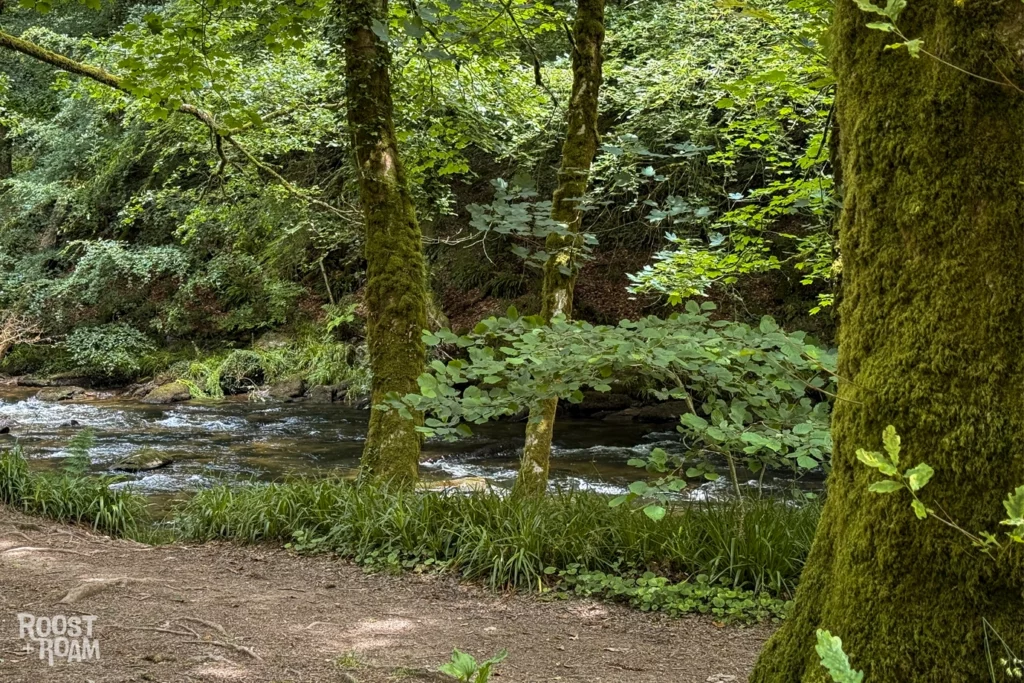 Tarr Steps Exmoor: The Oldest Clapper Bridge in The UK